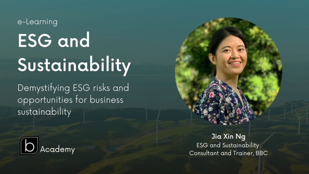 eLearning - Bernard Business Consulting