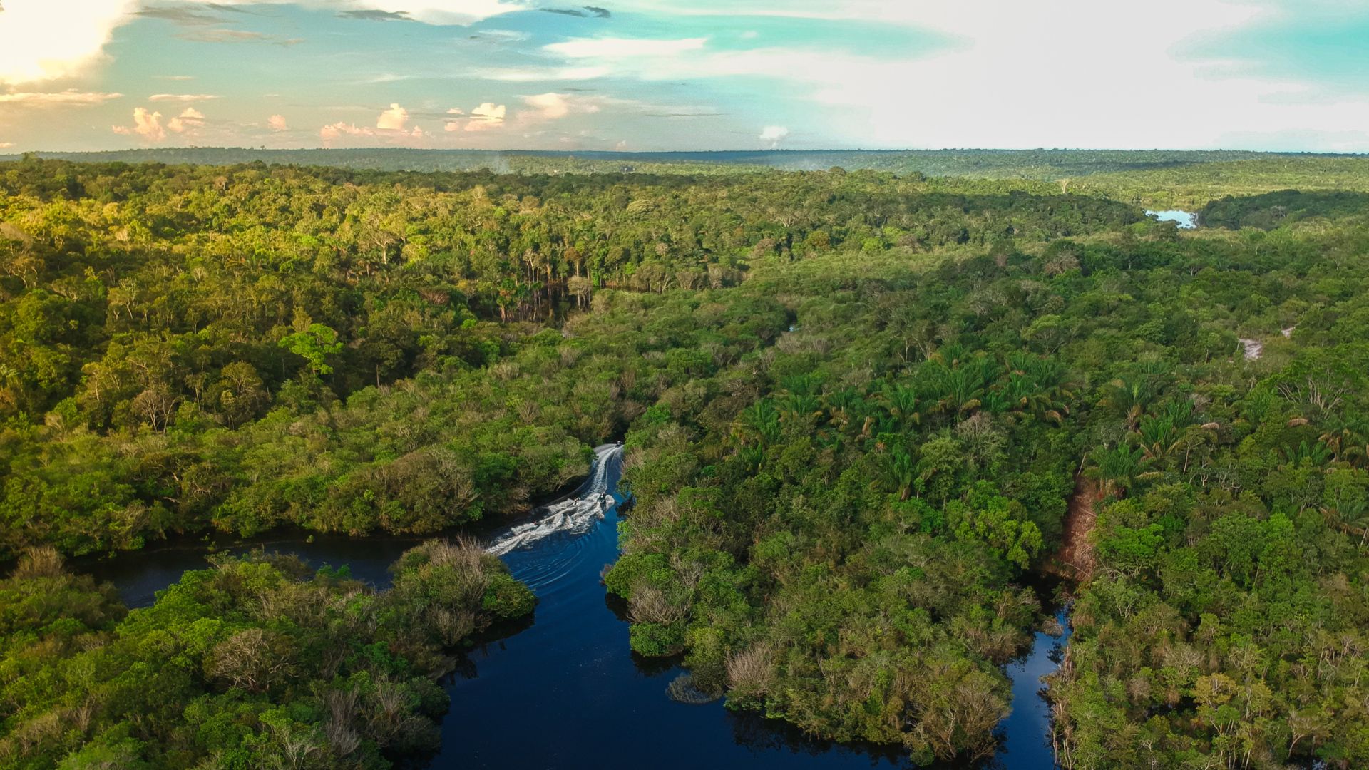 Case Study SDG 15: Patagonia's Balance of Business Profit and ...