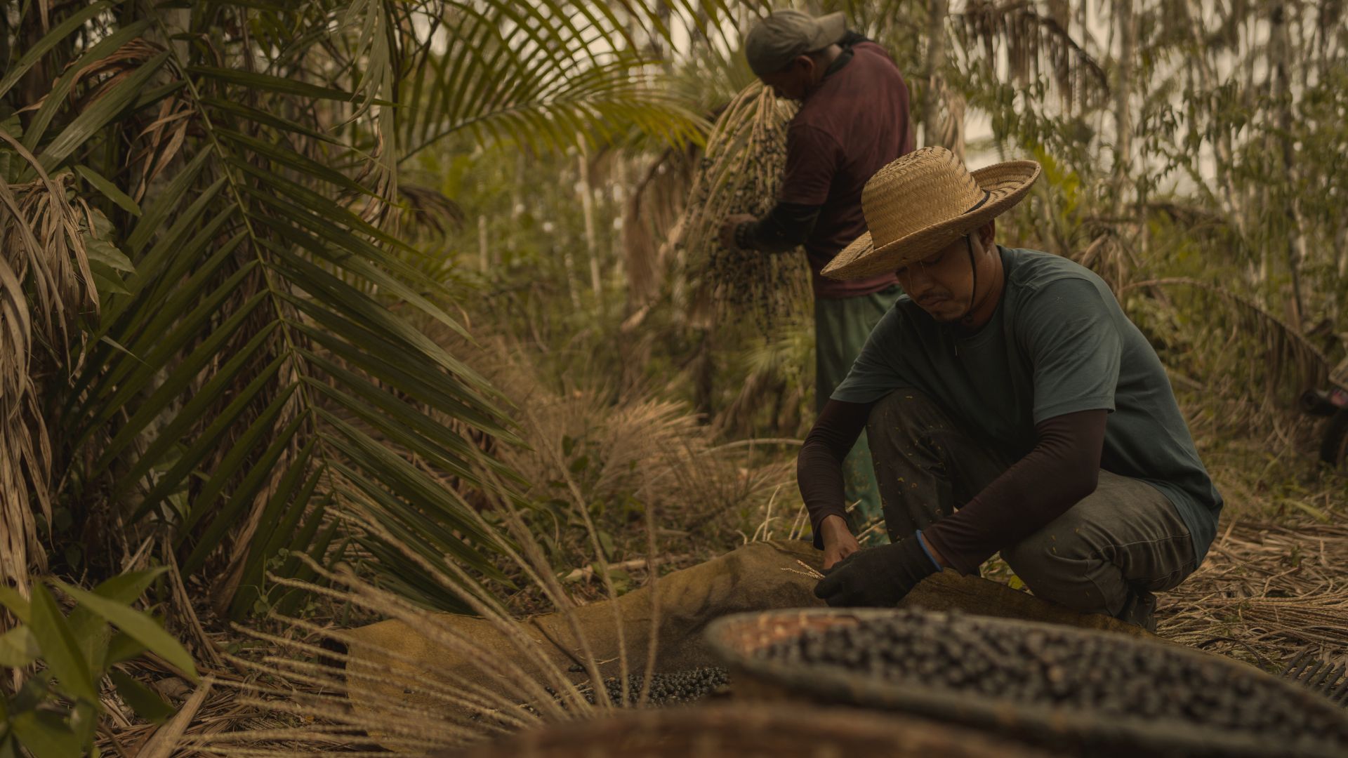 Case Study SDG 16: How Unilever Drives Transparency and Justice in ...