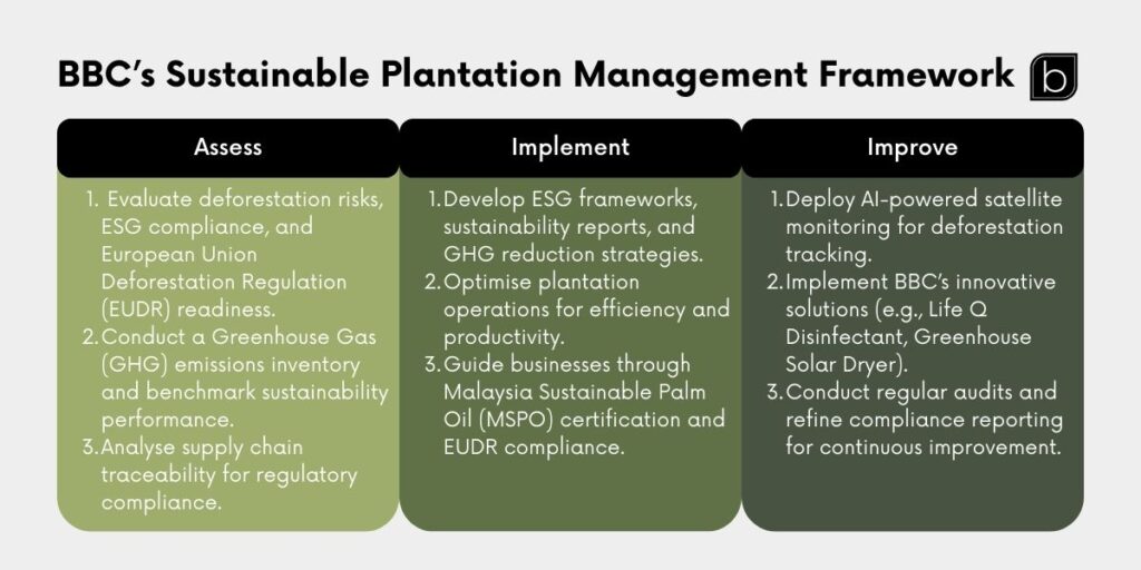 Sustainable Plantation Management - Bernard Business Consulting