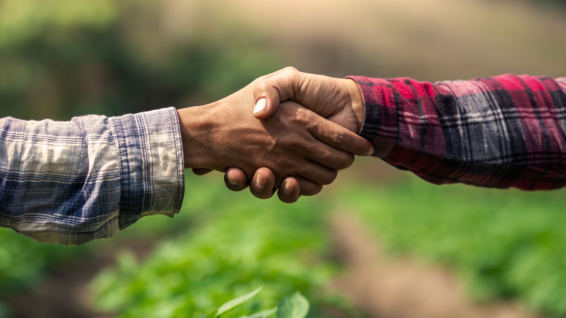 Case Study SDG 17: How Bernard Business Consulting Builds Strategic ...